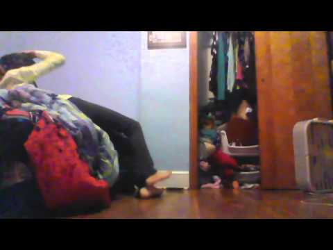 how to ride your dog - YouTube