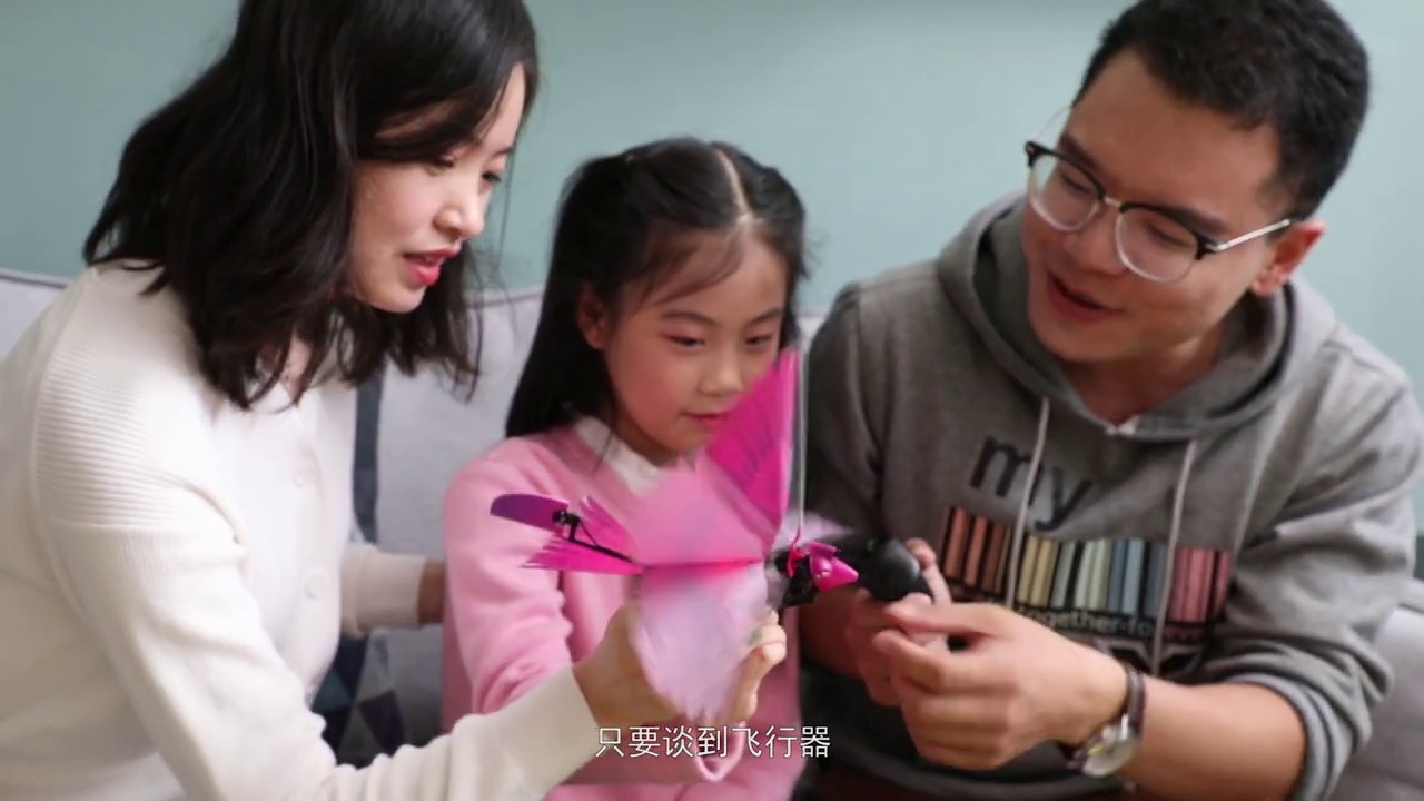 Amazing RC Ornithopter | Remote Control Flying Bird | Go Go Bird - YouTube