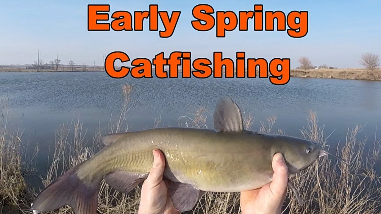 Catfishing in the Wind - First Catfish of the Season - Spring ...