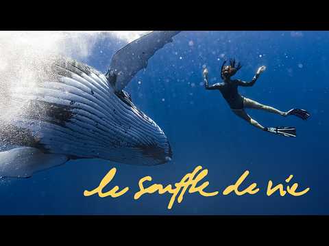 Le Souffle de Vie (documentaire)