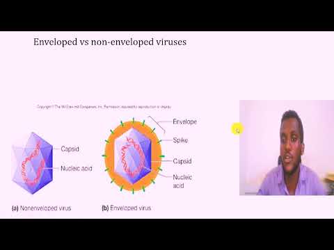 Grade 12 Biology- Unit 1 (Part 4)- What are Viruses - YouTube