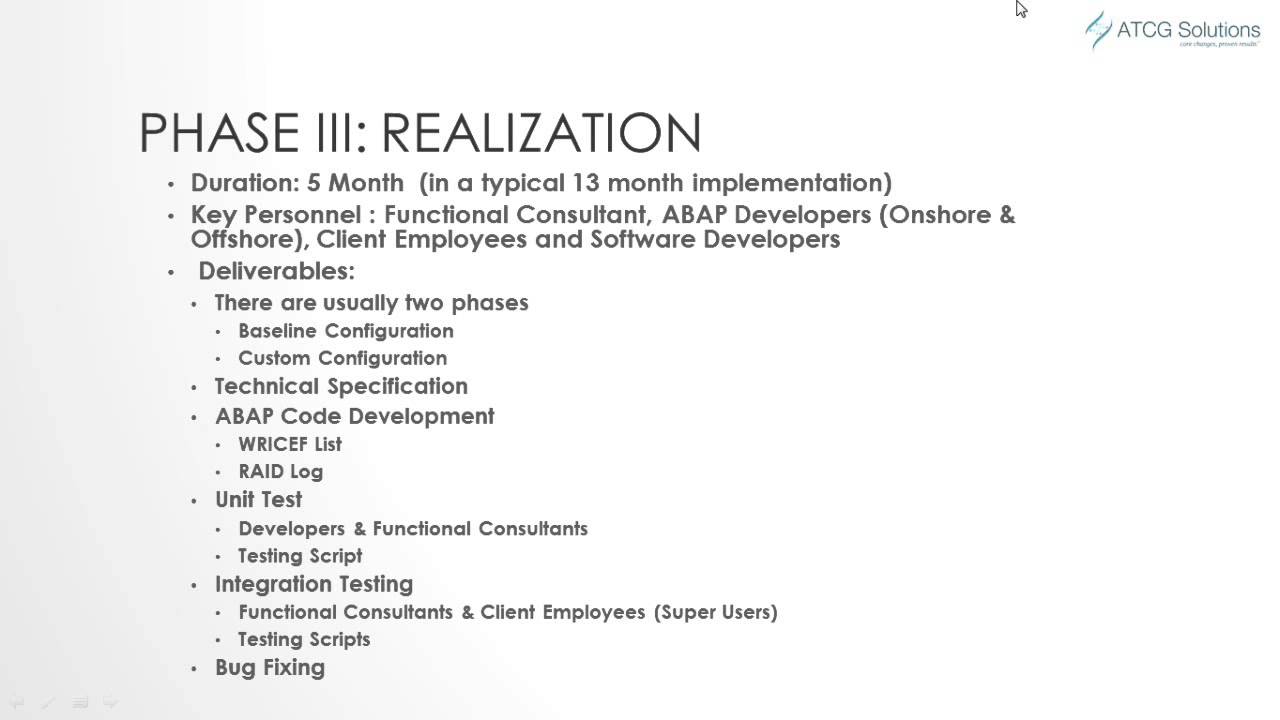 SAP Project Timeline and Strategy - YouTube