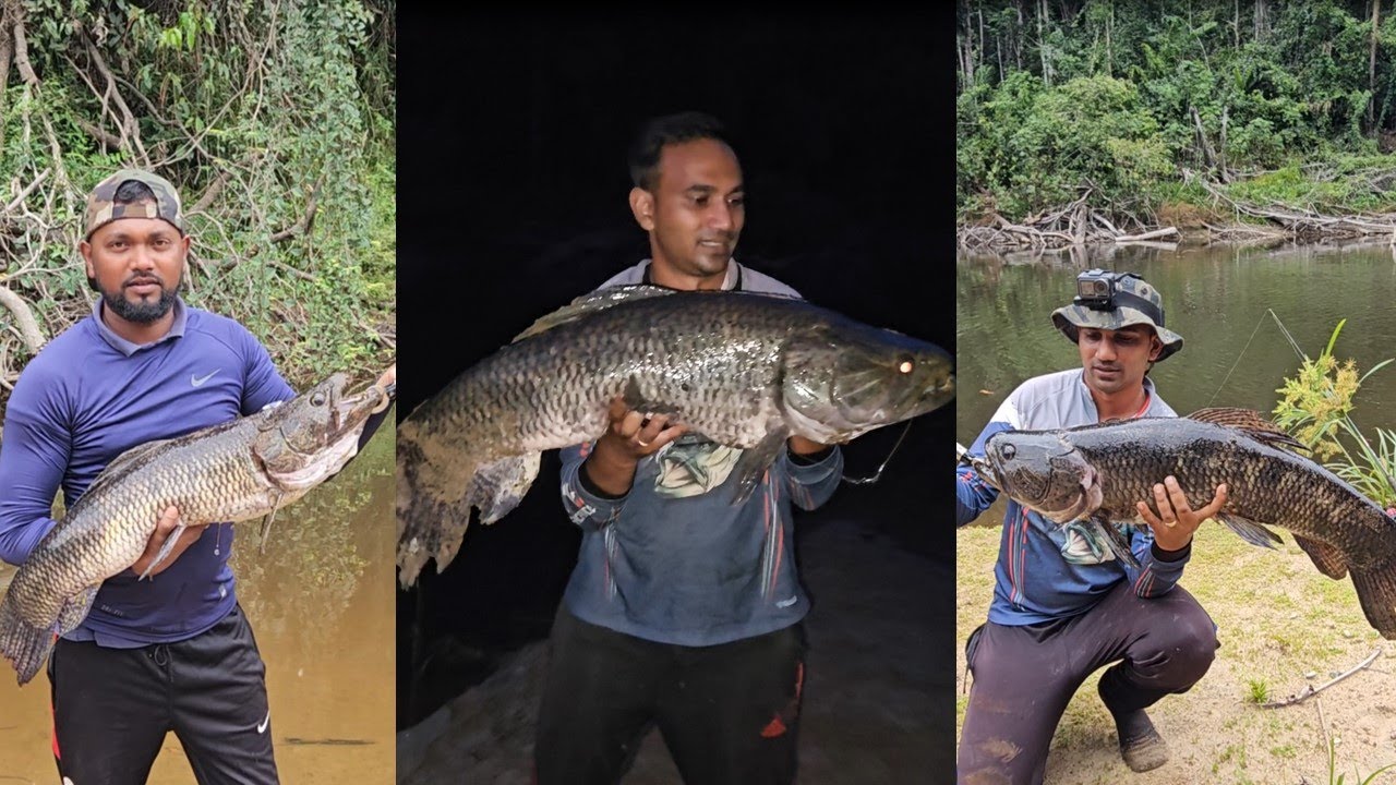 Chasing the elusive Wolf Fish ( Anjumara ) - Short Documentary - YouTube