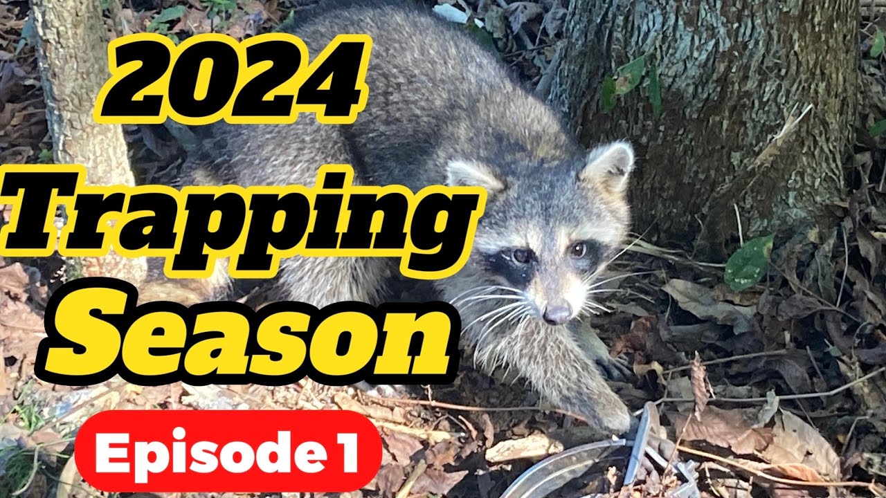 DIY Trapping Stakes | Trapping Episode 1 - YouTube
