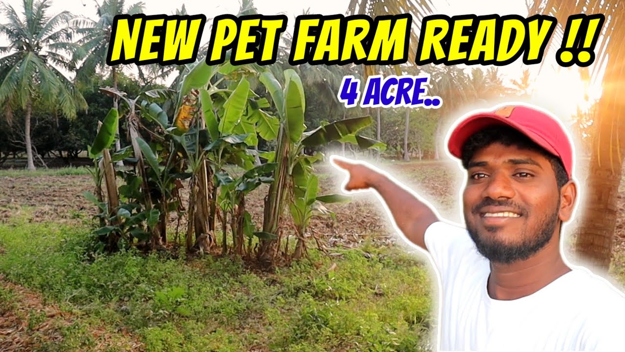 💥🕊️ Our New PET FARM is Ready | புது பண்ணைக்கு போயாச்சு - YouTube