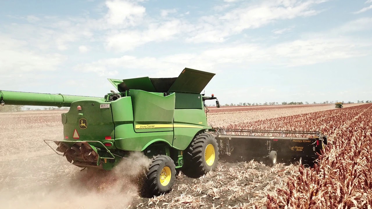 Mungana farming sorghum harvest 19 - YouTube
