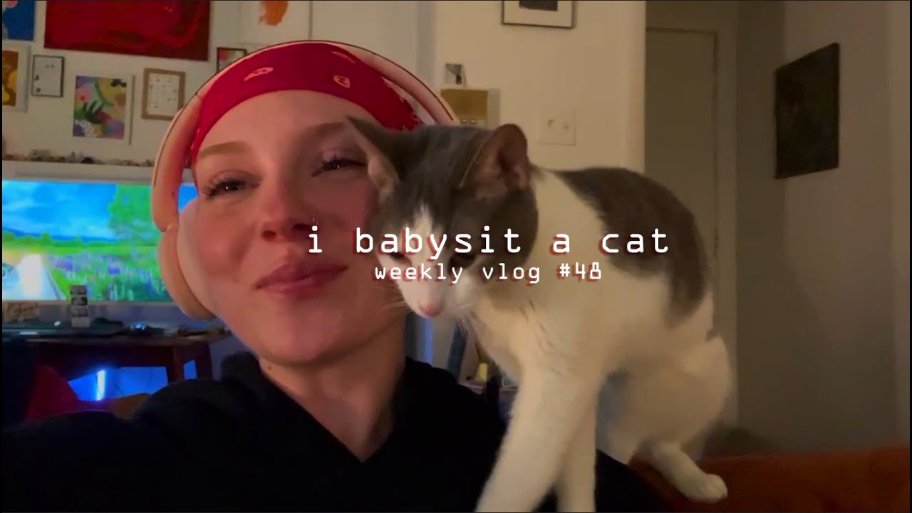 i babysit a cat || weekly vlog #47 ♡ - YouTube
