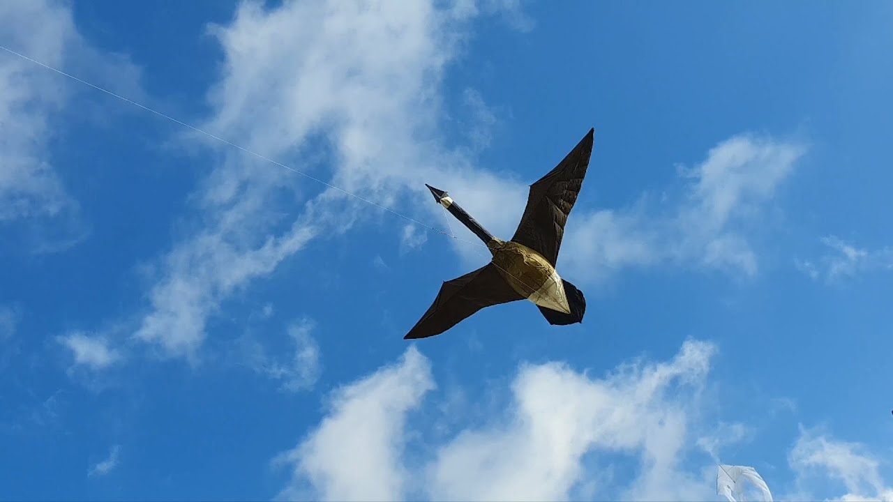 Bird Kites and a Mouse - Martin Lester Goose Kite - YouTube