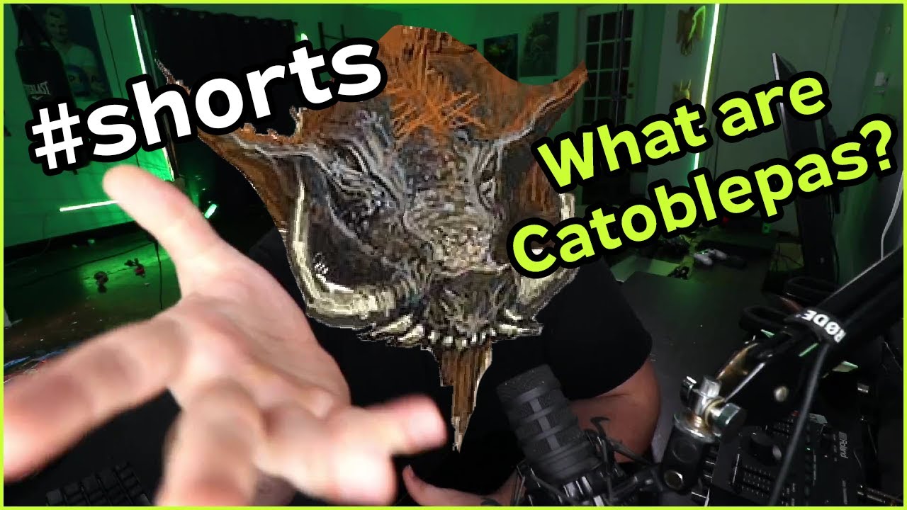 What is a Catoblepas in D&D? - YouTube