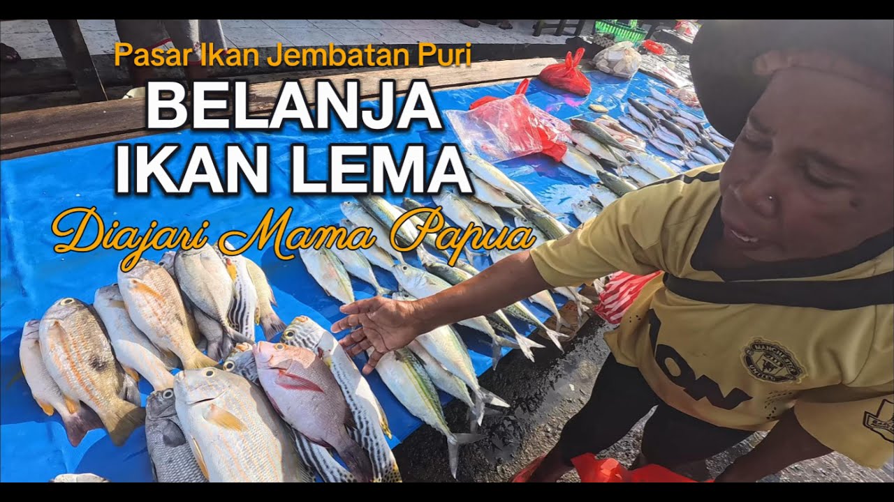Diajari Mama Papua Belanja Ikan Lema di Pasar Ikan Jembatan Puri #papua ...