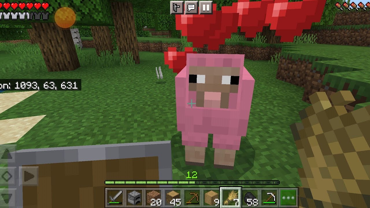 I FOUND THE RAREST SHEEP | Minecraft | Gameplay # 2 - YouTube