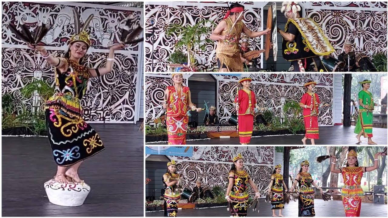 Tari Gantar, Tari Gong, Tari Perang, Tari Enggang, dari Kalimantan ...