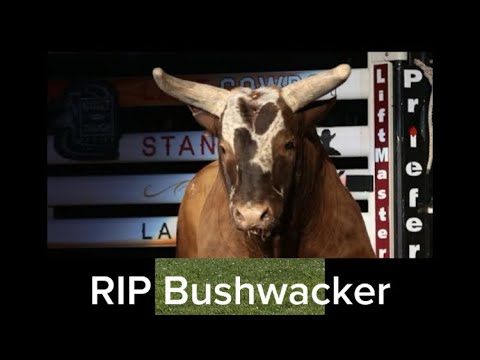 Video tribute to BUSHWACKER 2006-2024 - YouTube