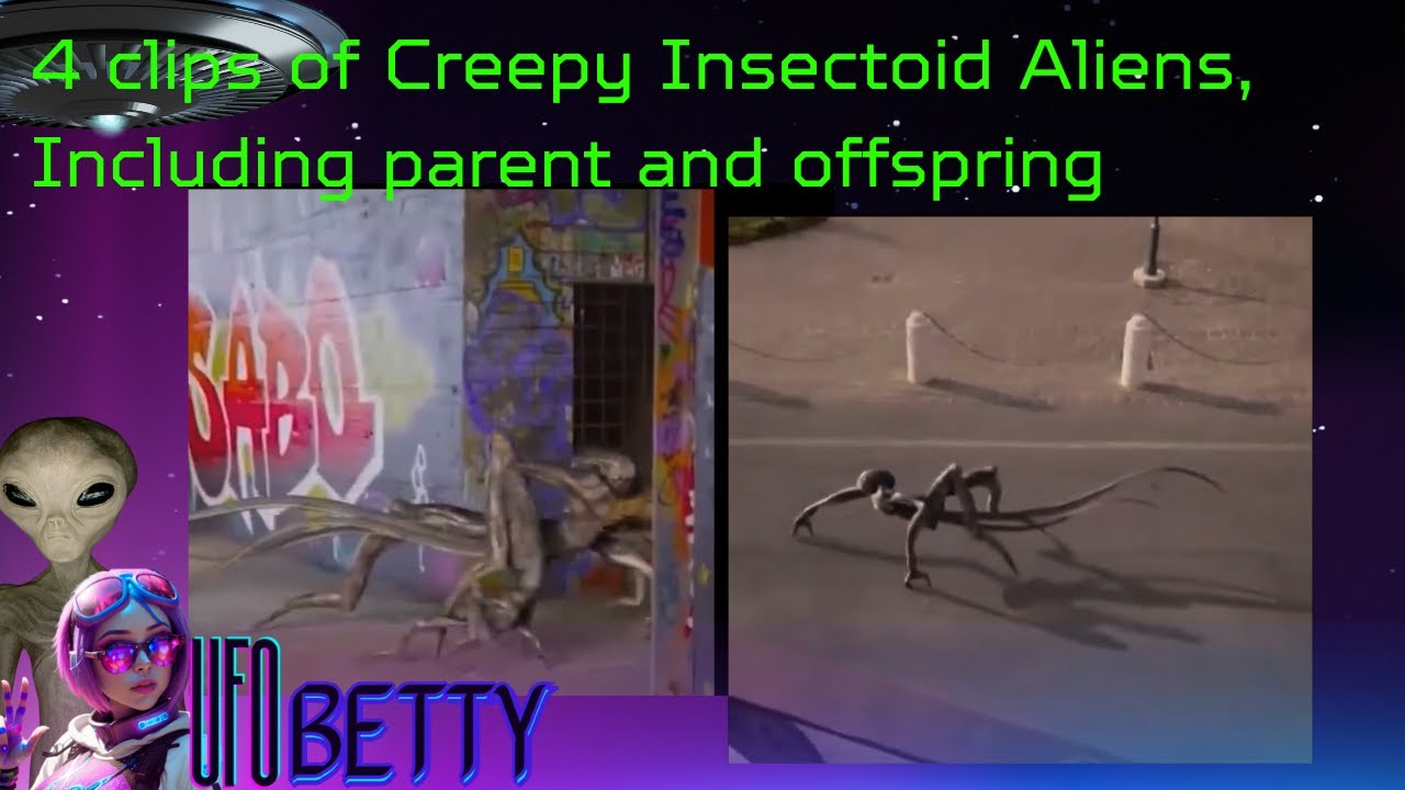 4 clips of Creepy Insectoid Aliens, Including parent and offspring ...