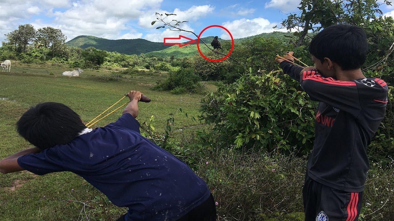 Hunting Bird_Two Smart Children Hunting Wild Bird Using Slingshot - YouTube