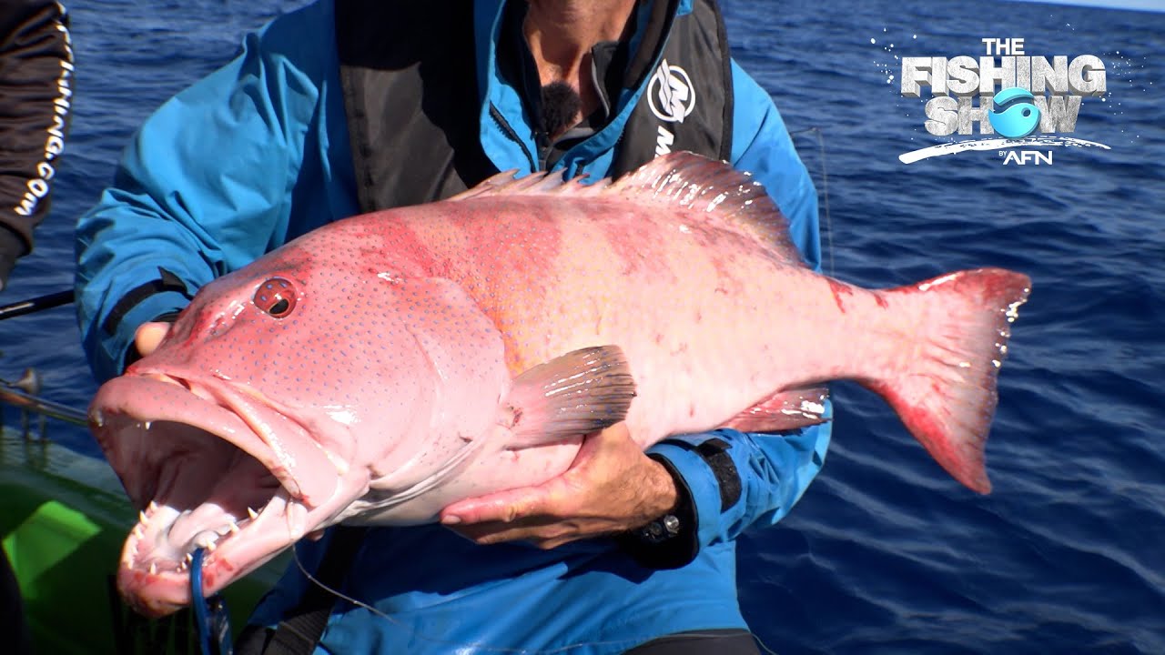 Kenn Reef's Pelagic Playground - YouTube