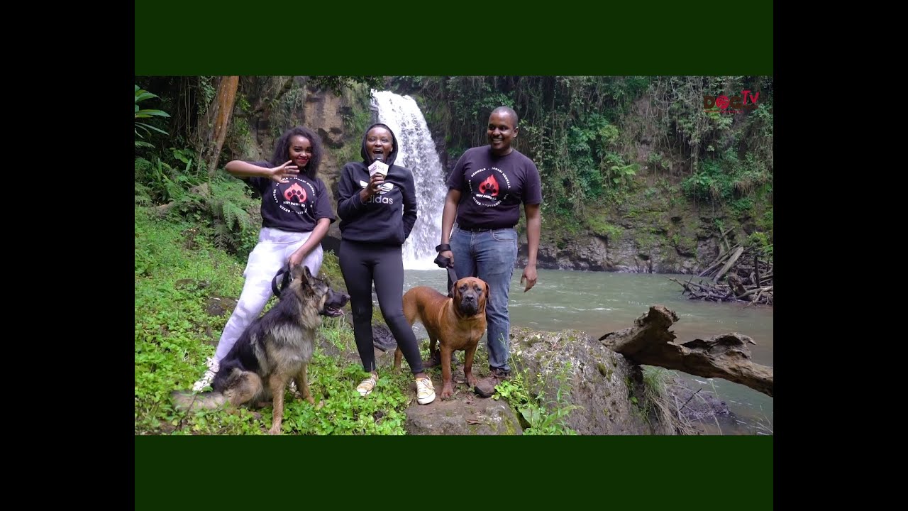 HOTPAWS KENYA NEXT DOG WALK ON SATURDAY 30TH JULY AT KIENI FOREST ...