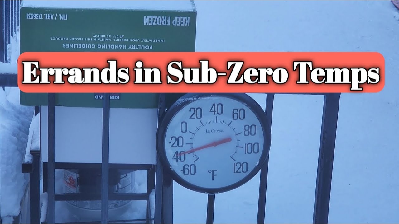 Errands in Sub Zero Temps | Fairbanks, Alaska | Alaskan Bears Vlogs ...
