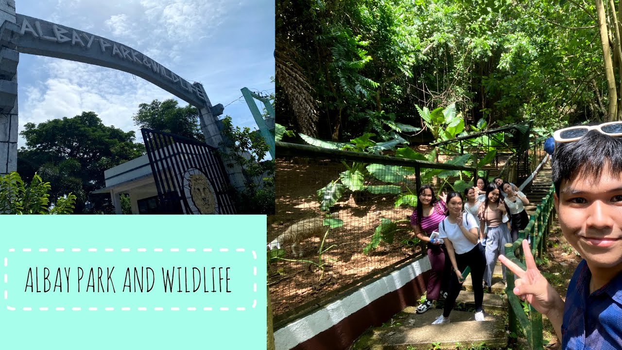 ALBAY PARK & WILDLIFE - YouTube