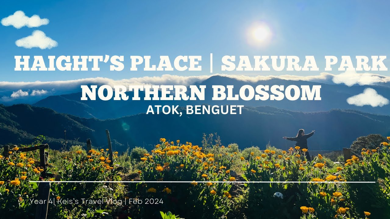 Travel Vlog: Haight’s Place | Sakura Park | Northern Blossom Atok ...