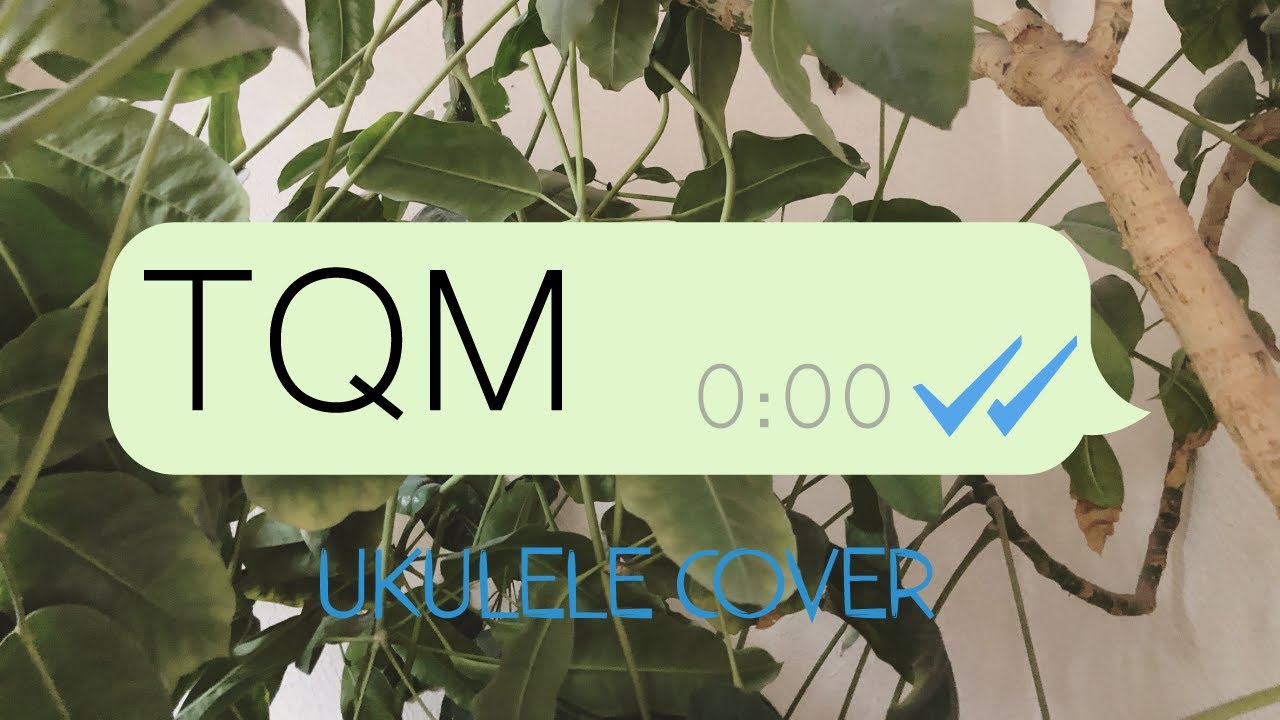 Little Jesus - TQM (Ukulele cover) - YouTube Music