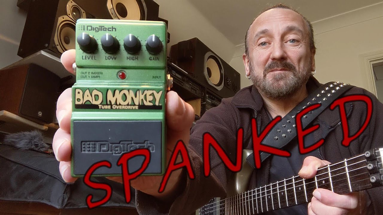 Bad Monkey Overdrive by Digitech - Uses, run through and demo. - YouTube