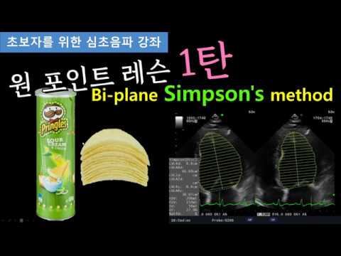 심초음파 원포인트 레슨 1탄 - EF(Ejection fraction) 구하기 Biplane Simpson method ...