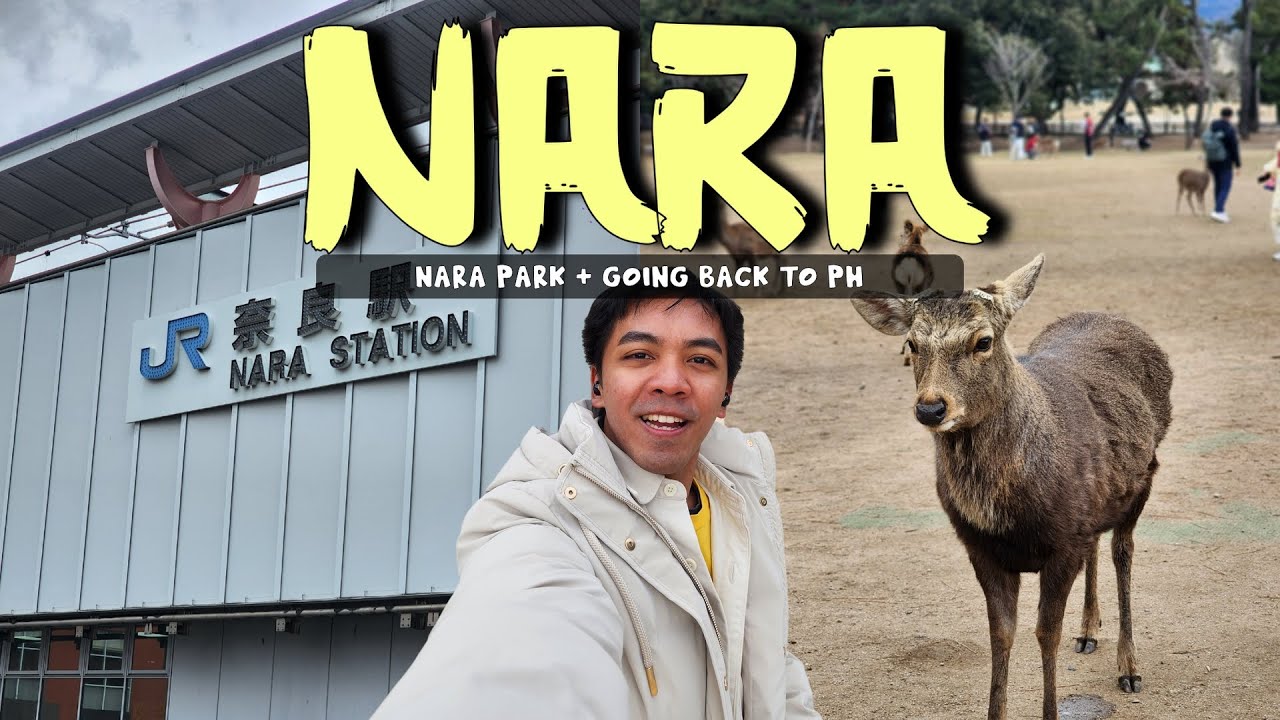 Quick Trip to Nara, Last Days before going back to PH🥲 Day 7 and 8 in ...