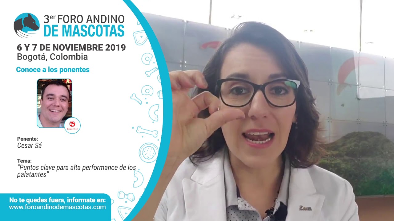 Avance del programa - Ponente: Cesar Sá - YouTube