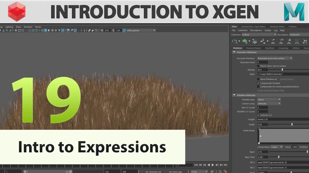 Introduction to Xgen Series: 19 intro to expressions - YouTube