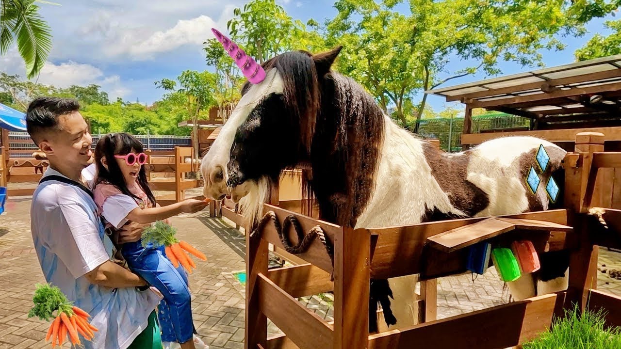 Kasih Makan Kuda Raksasa, Sapi dan Flamingo - Mengenal Binatang Lucu ...