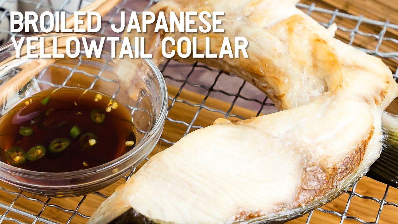 Japanese Hamachi Yellowtail Collar - YouTube