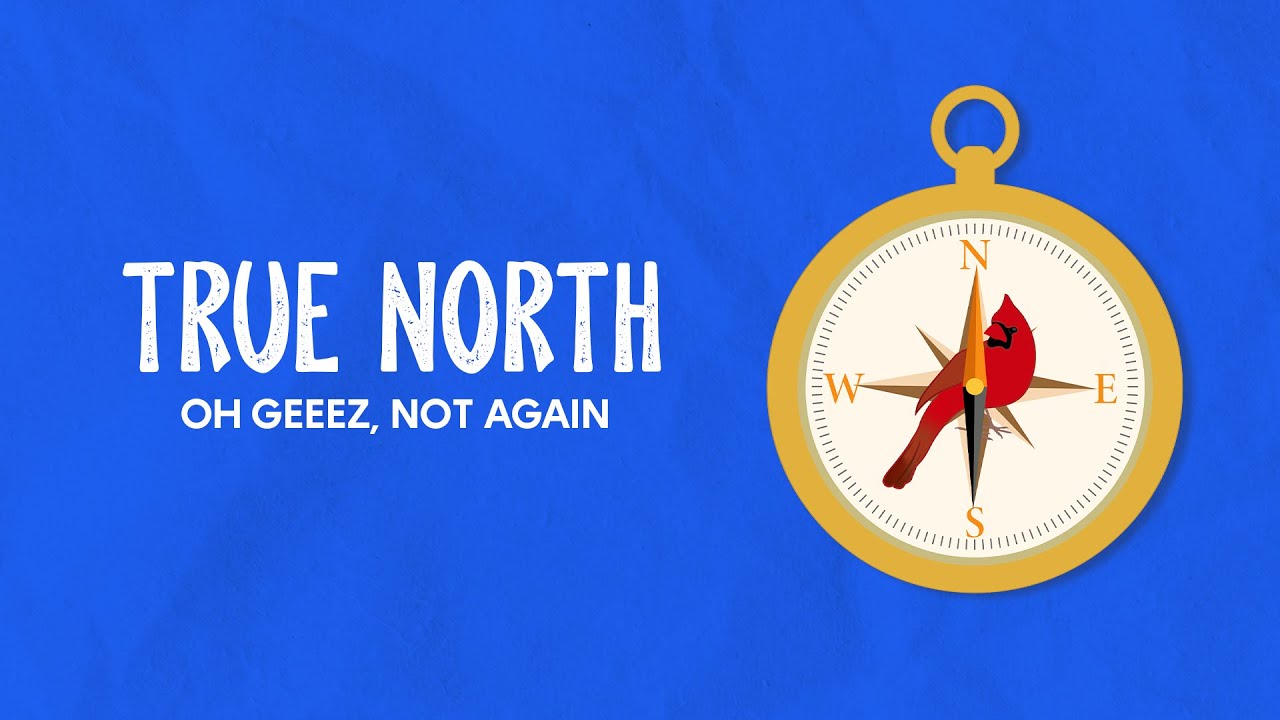 Oh Geeez, Not Again - True North (Official Visualizer) 🧭 - YouTube