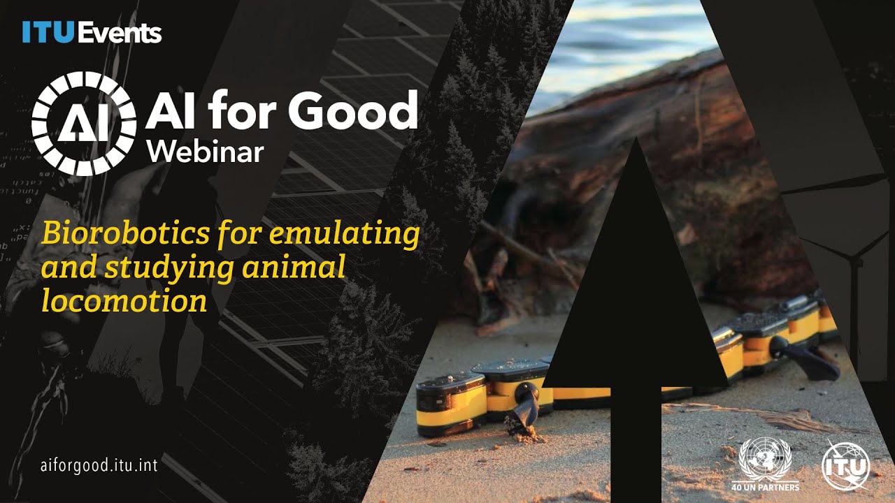 Biorobotics for emulating and studying animal locomotion - YouTube