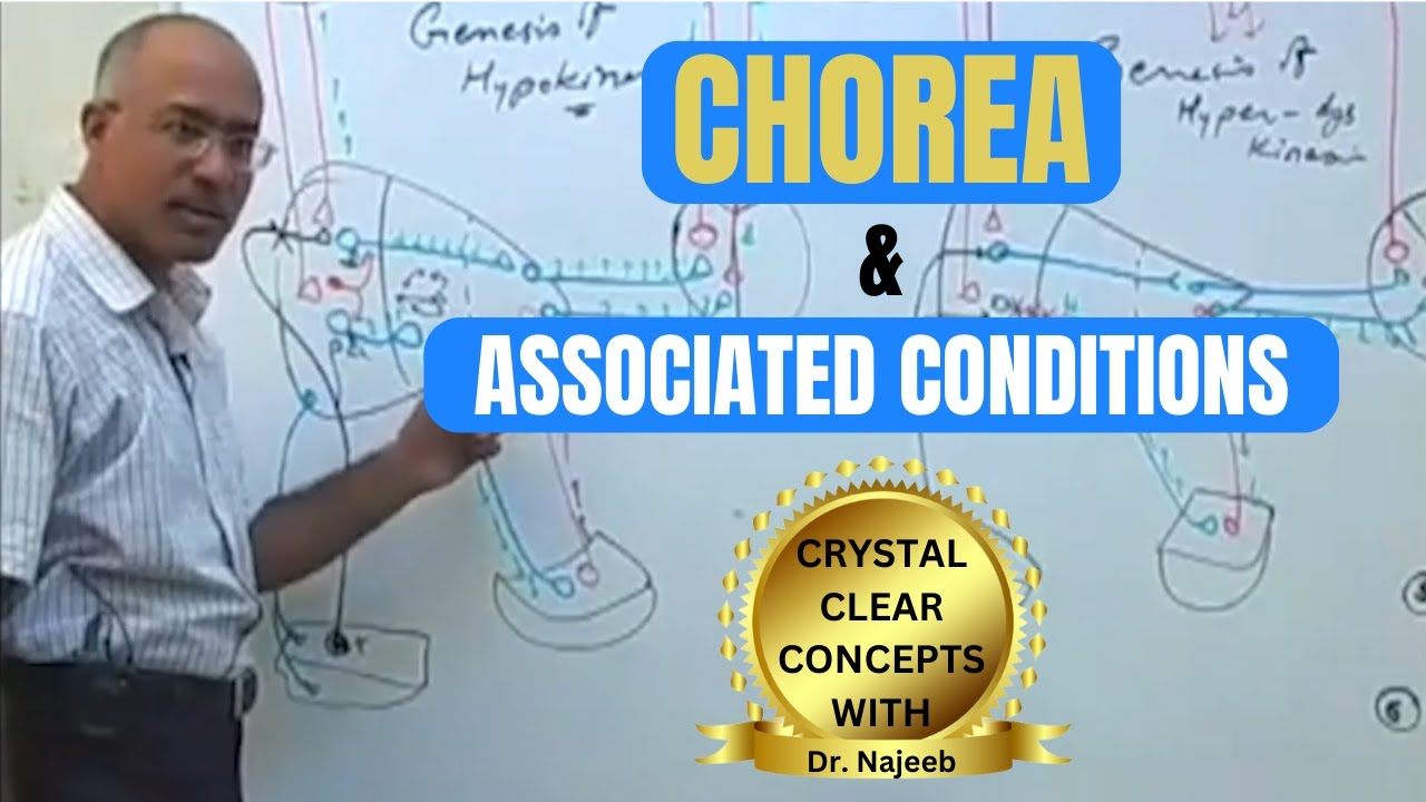 Chorea and it's Associated Conditions | Neurophysiology🧠 - YouTube