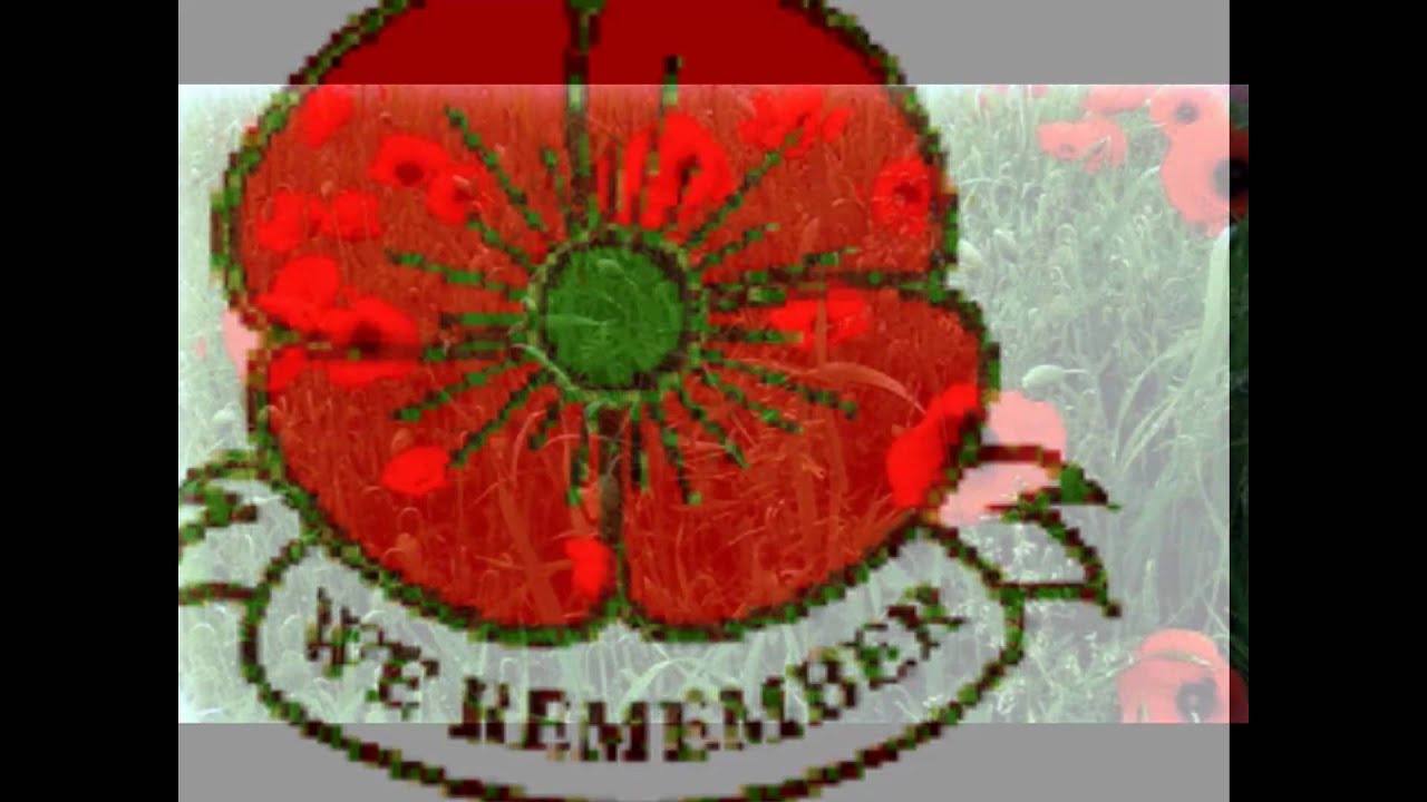 poppy day 2010 - YouTube