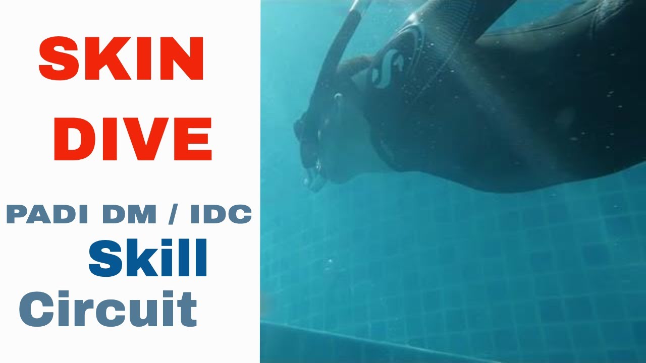 PADI Skill Circuit - Skin Dive Skill PADI IDC & Divemaster Skills ...