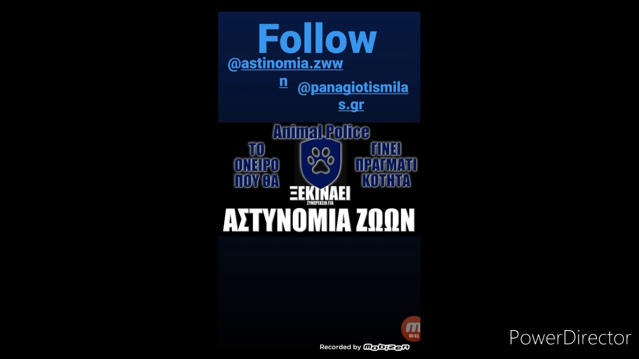 ΑΣΤΥΝΟΜΙΑ ΖΩΩΝ - YouTube