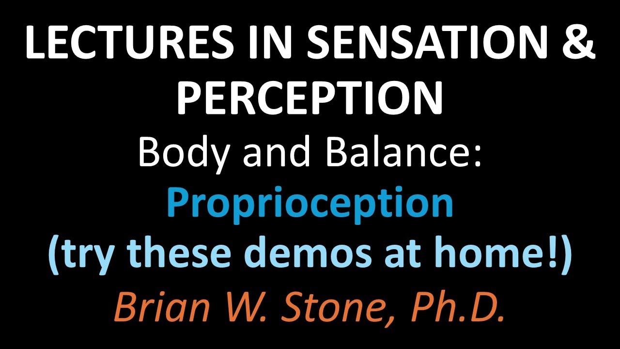 Sensation and Perception - Body and Balance Pt1 - Proprioception (try ...