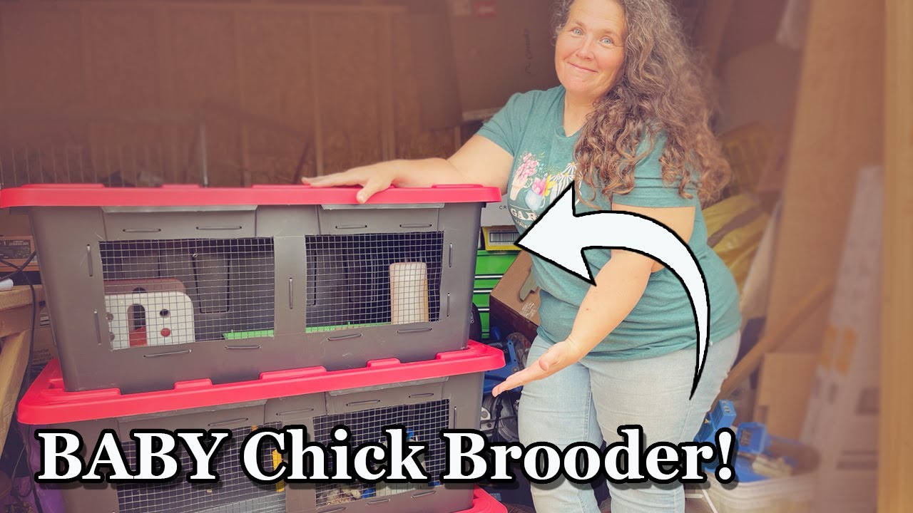 EASY DIY Chicken Brooder | Easy To clean | How to make a Duck or Chick ...