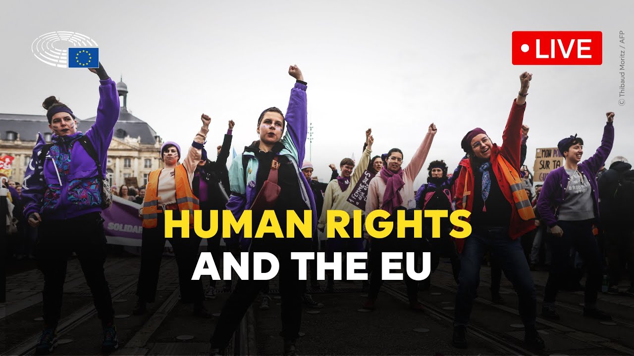 Parliament discusses challenges for human rights with UN High ...