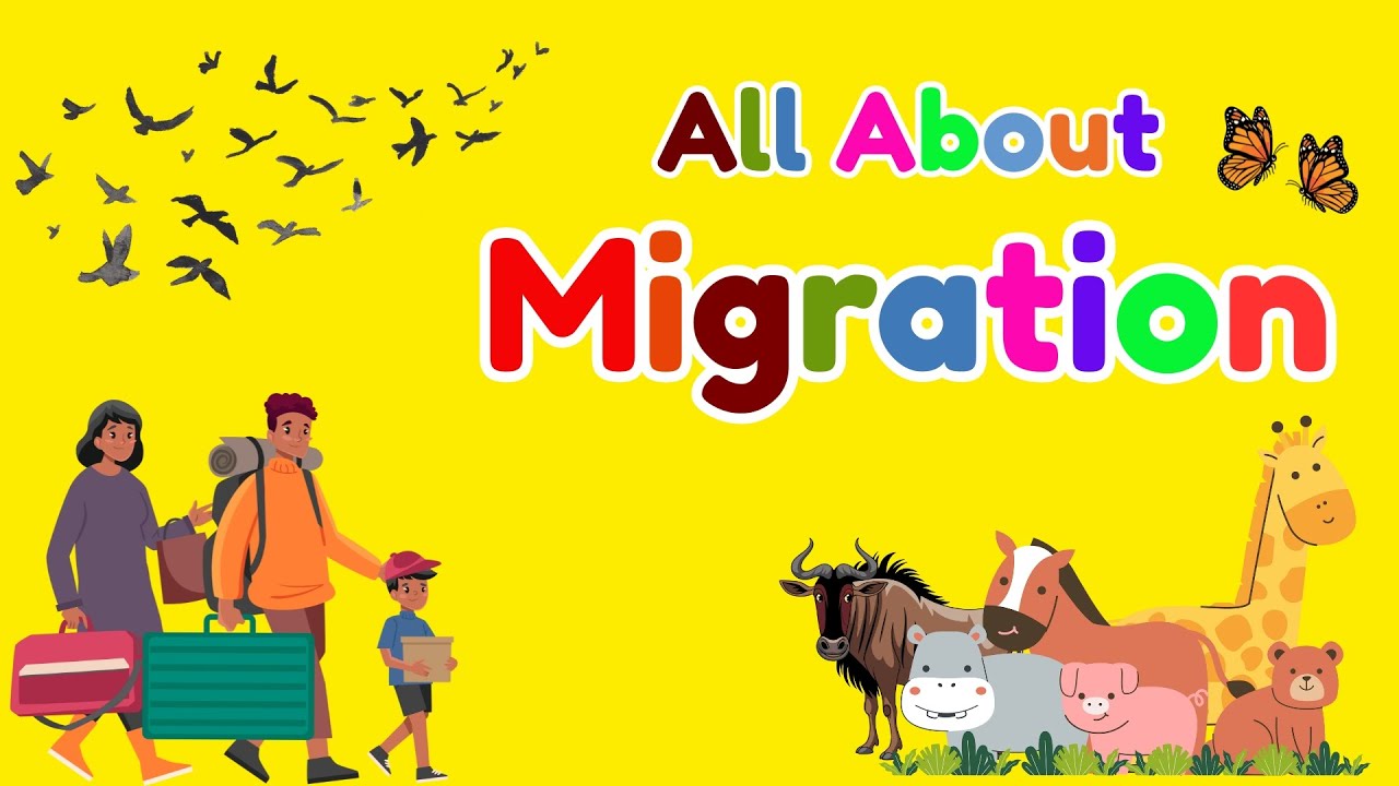 Why Do People, Birds & Animals Migrate? | All About Migration ...