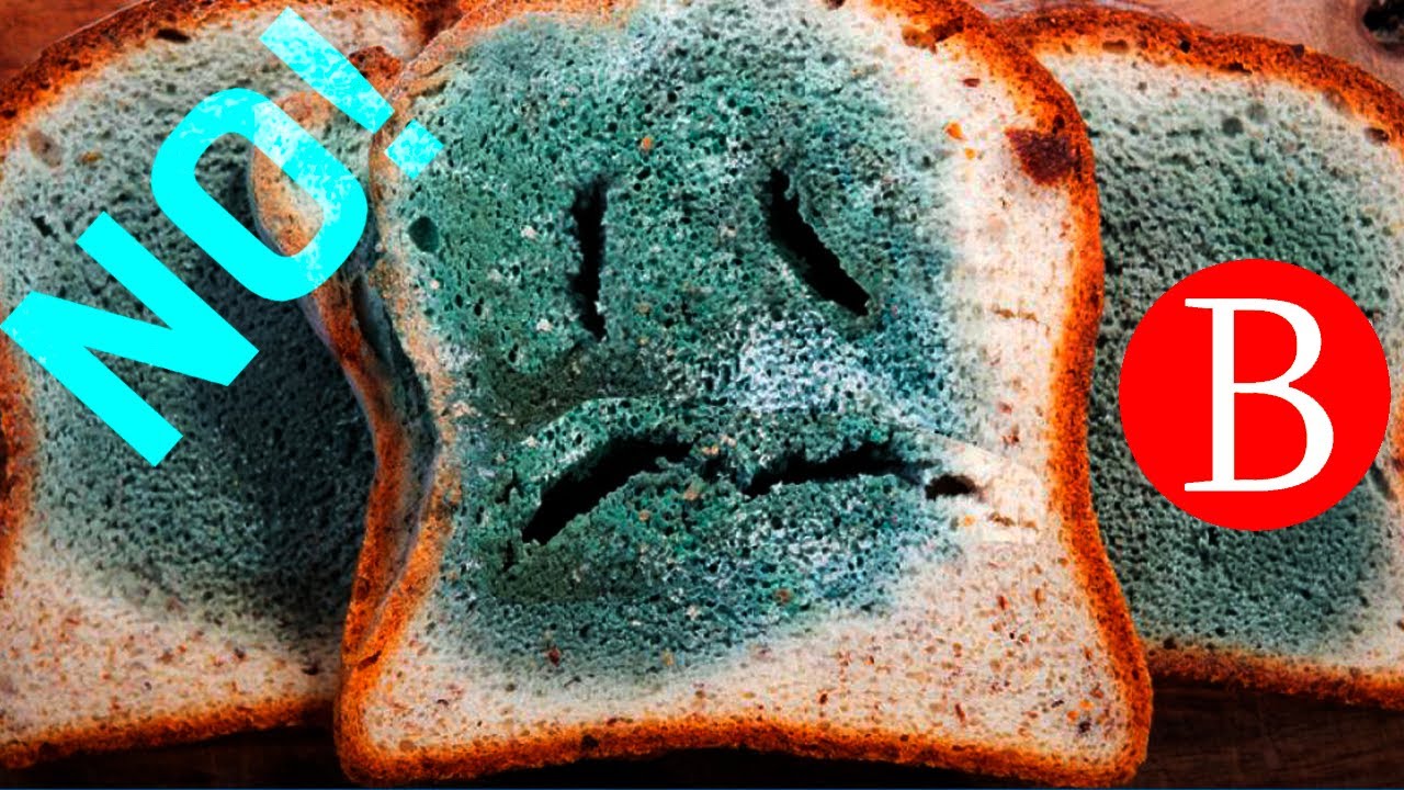 Nunca comas la parte "limpia" de un PAN CON MOHO - YouTube