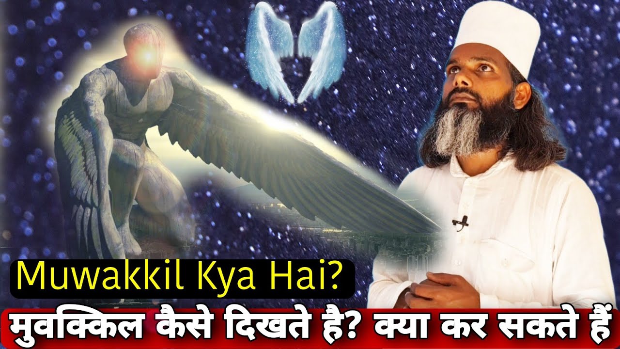 मुवक्किल कैसे दिखते हैं और क्या क्या काम कर सकते हैं | What do Muwakkil ...