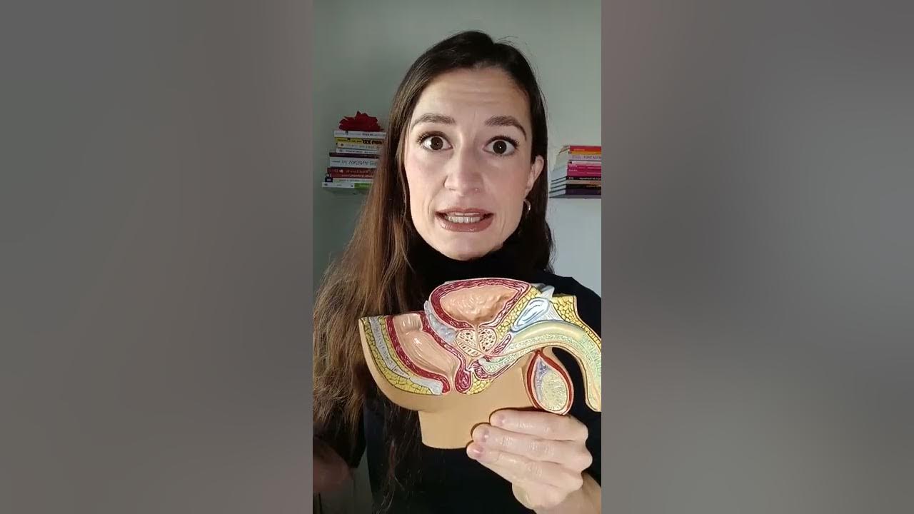 G-PUNKT beim MANN | PROSTATA STIMULIEREN - gewusst wie! - YouTube