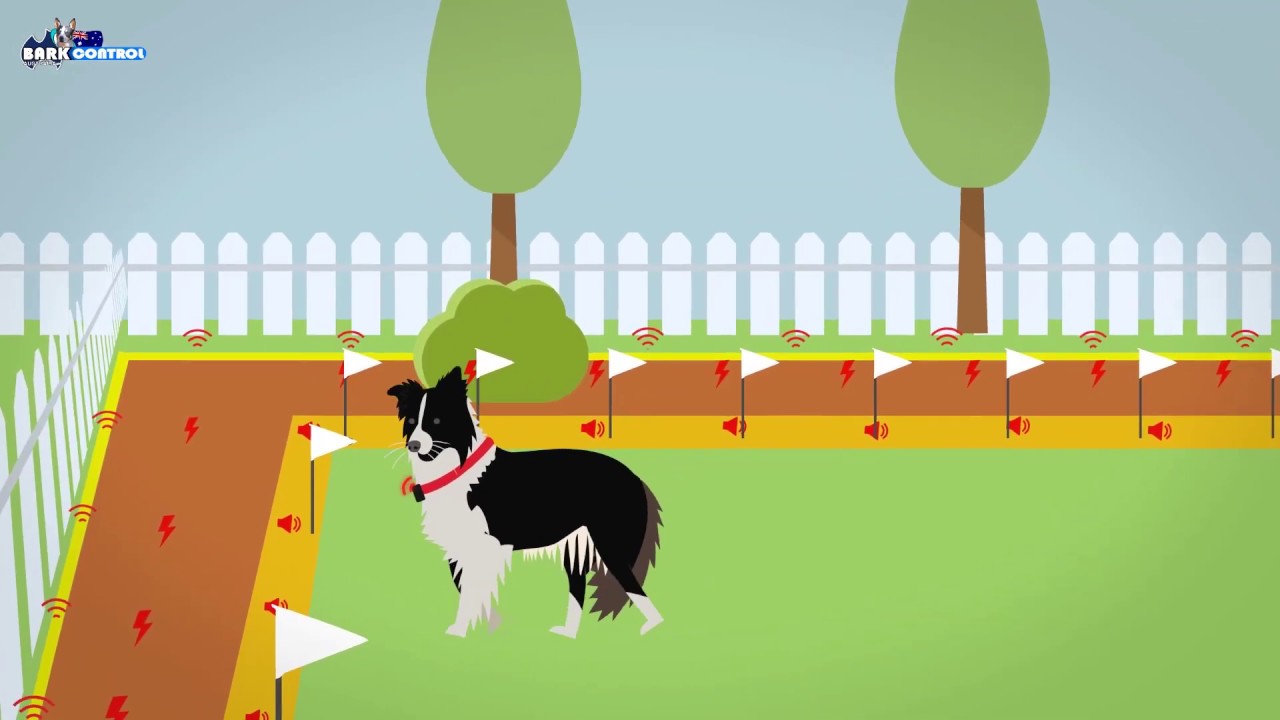 How a Dog Containment Fence Works | Bark Control Australia - YouTube