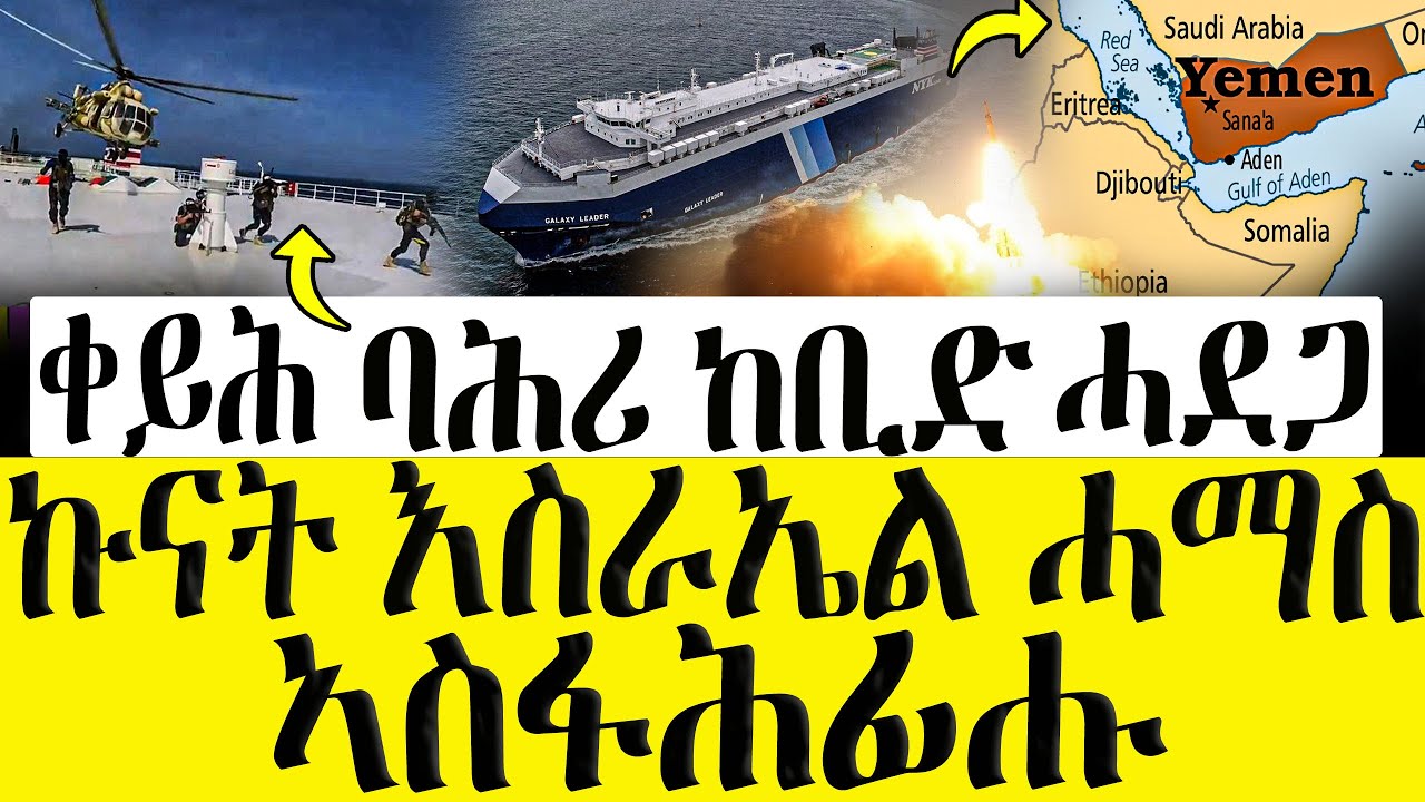 Dasna Tv | ( እዋናዊ ዛዕባ ) - ቀይሕ ባሕሪ ከቢድ ሓደጋ - 21/11/2023 - YouTube