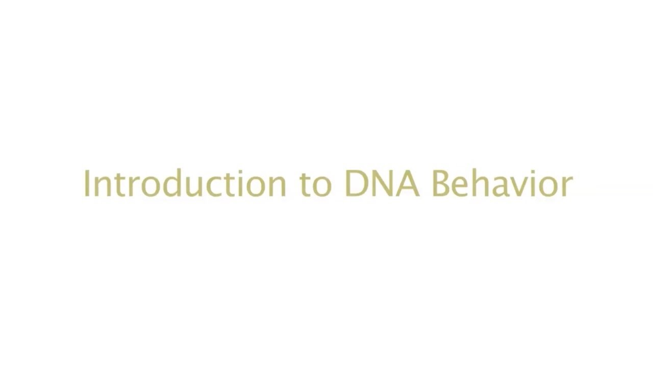 Introduction to DNA Behavior - YouTube