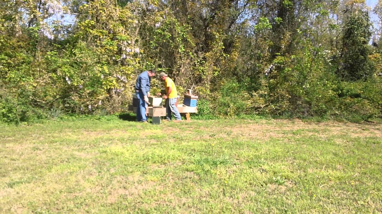 JUST ONE OUT YARD WE CHECK WITH A NEW STUDENT - YouTube