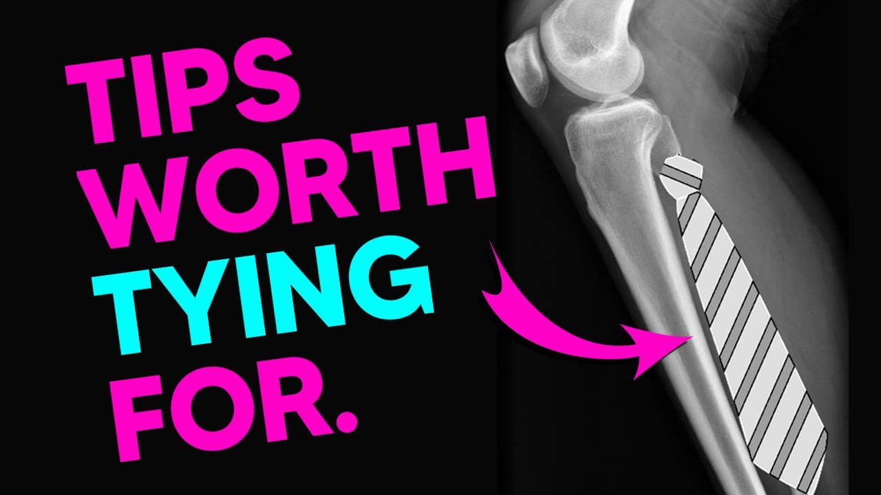 Lower Leg Muscle Mnemonics (Anterior & Lateral Compartments) - YouTube